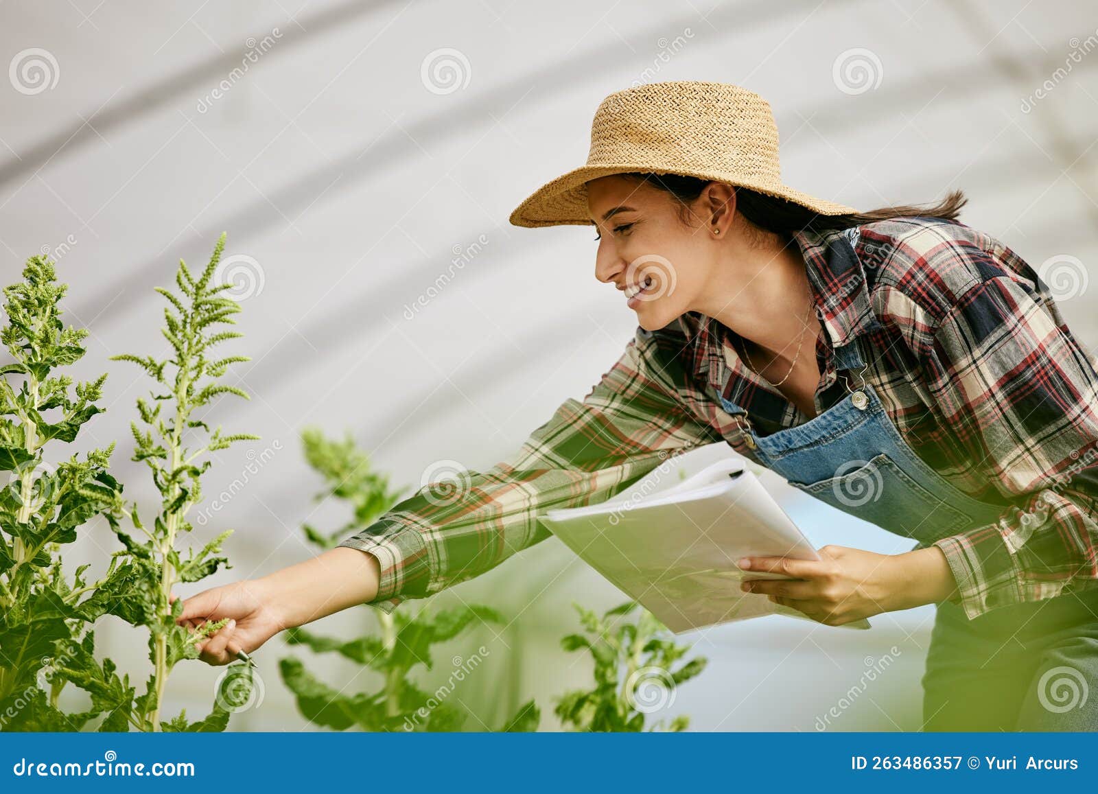 The Numbers Seem Good. a Young Female Farmer Taking Note of Her Produce ...