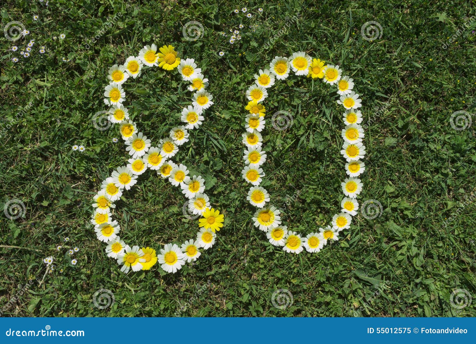 Numeral 80 of Blossoms in a Meadow Stock Image - Image of ...
