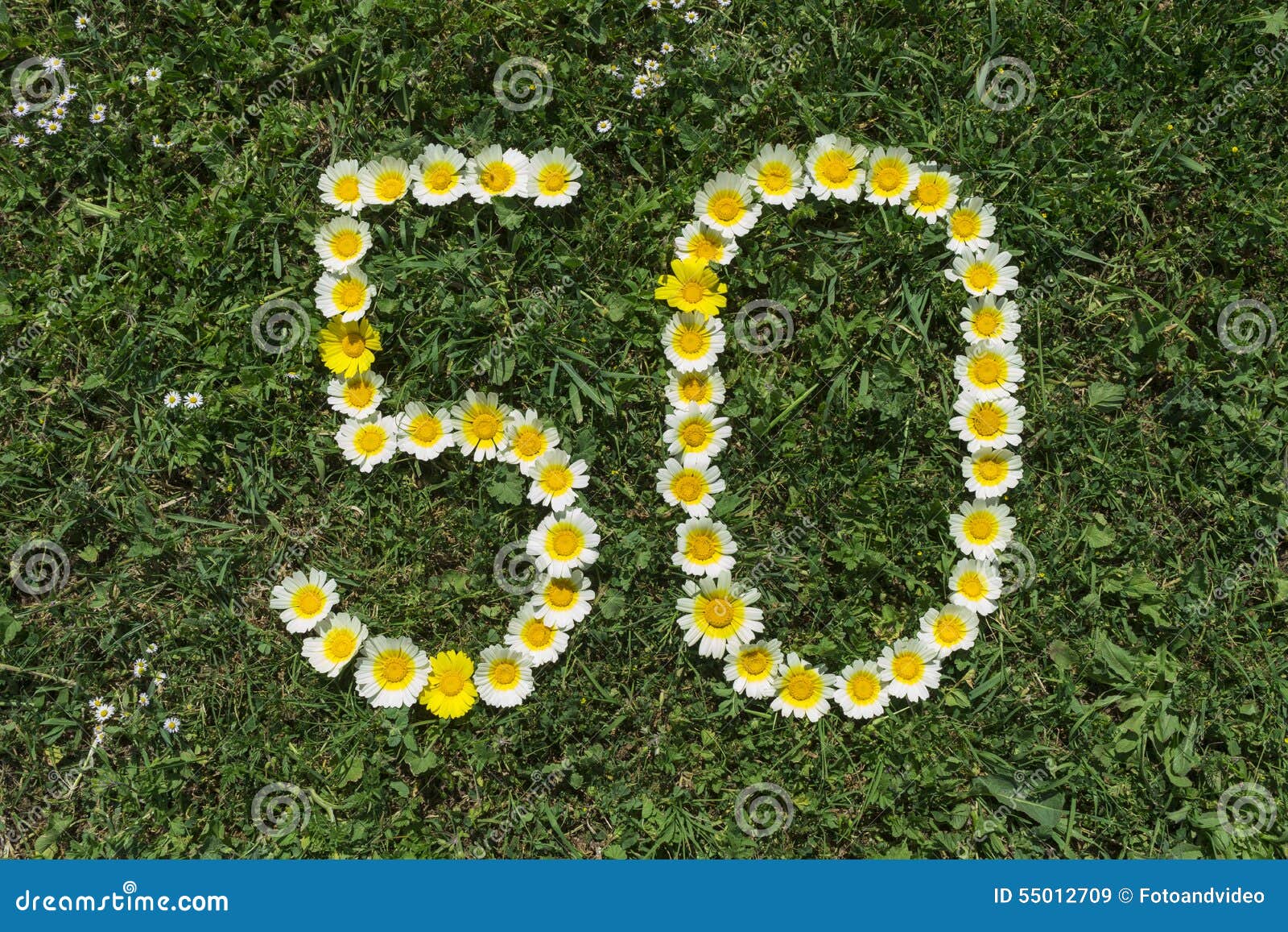 Numeral 50 of Blossoms in a Meadow Stock Image - Image of blossoms ...