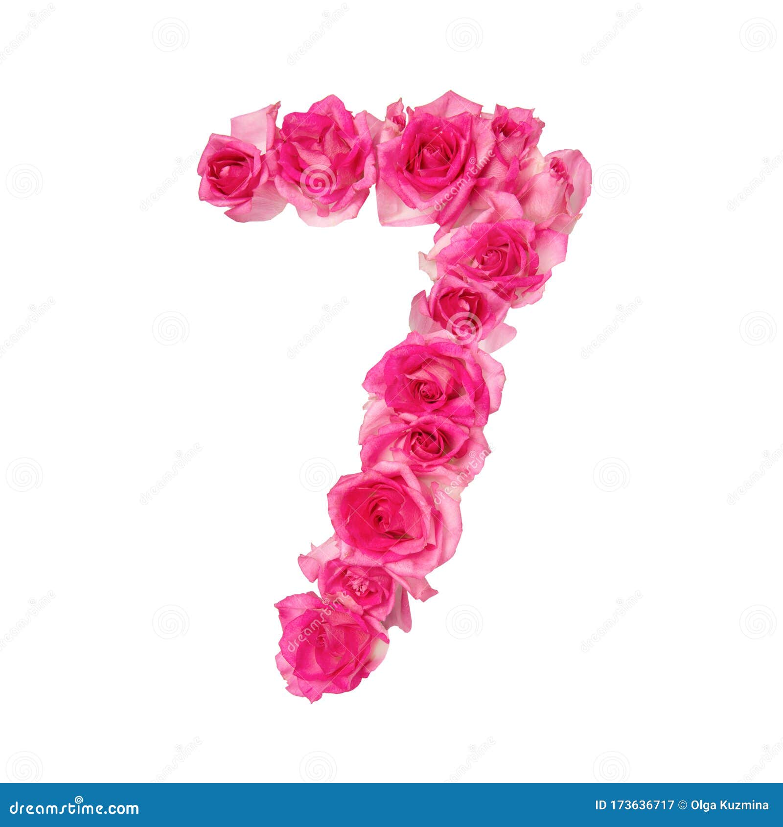 Numeral 7 Made of Pink Roses on a White Isolated Background. Element ...