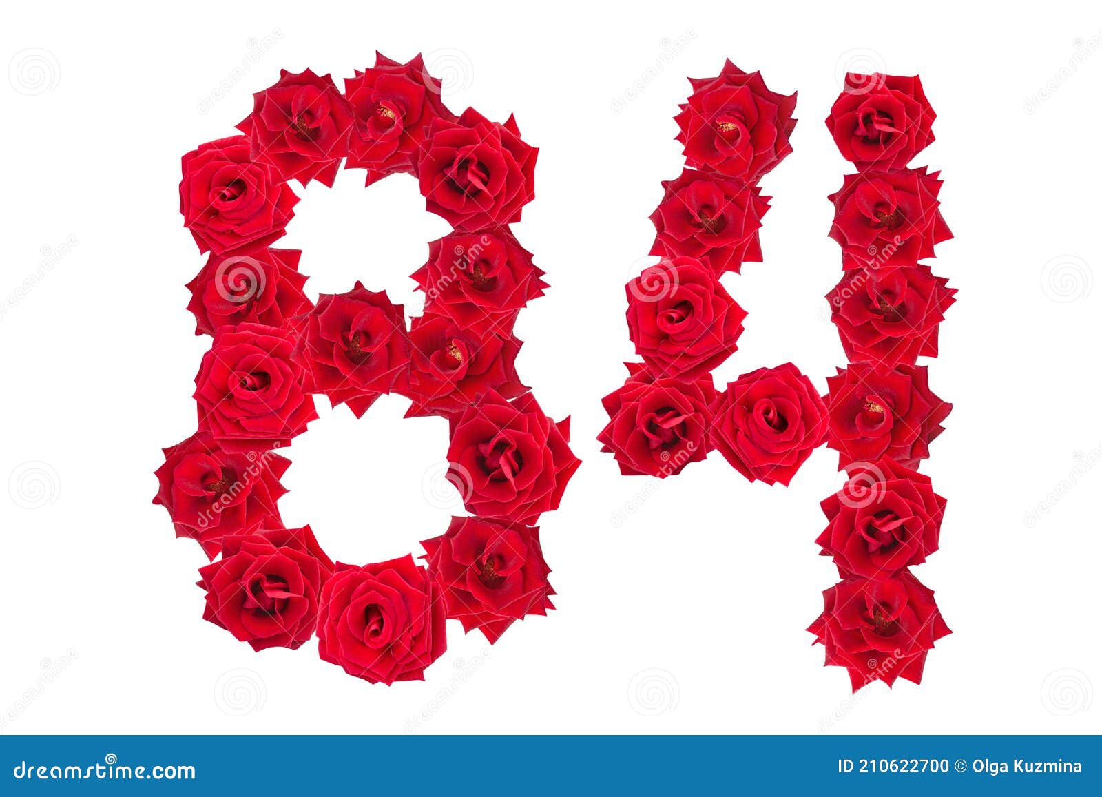Numeral 84 Made of Red Roses on a White Isolated Background. Element ...