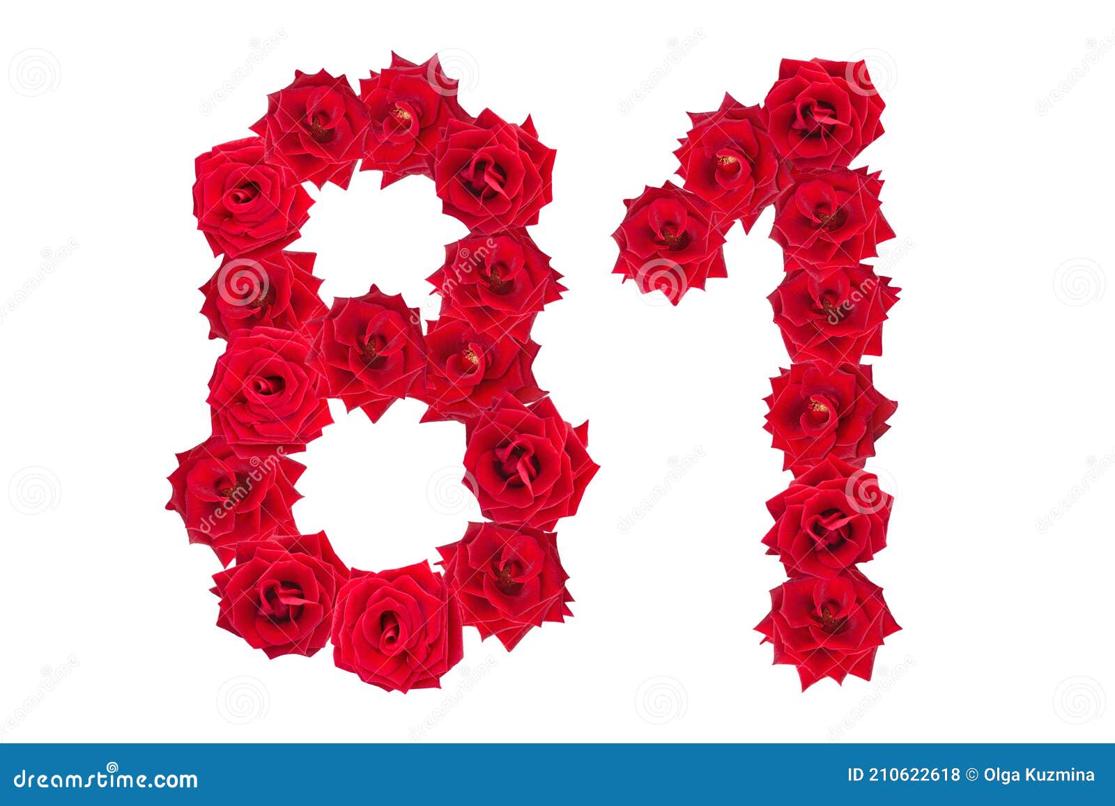 Numeral 81 Made of Red Roses on a White Isolated Background. Element ...