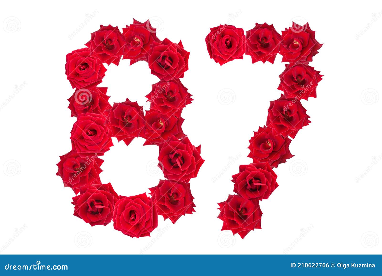 Numeral 87 Made of Red Roses on a White Isolated Background. Element ...