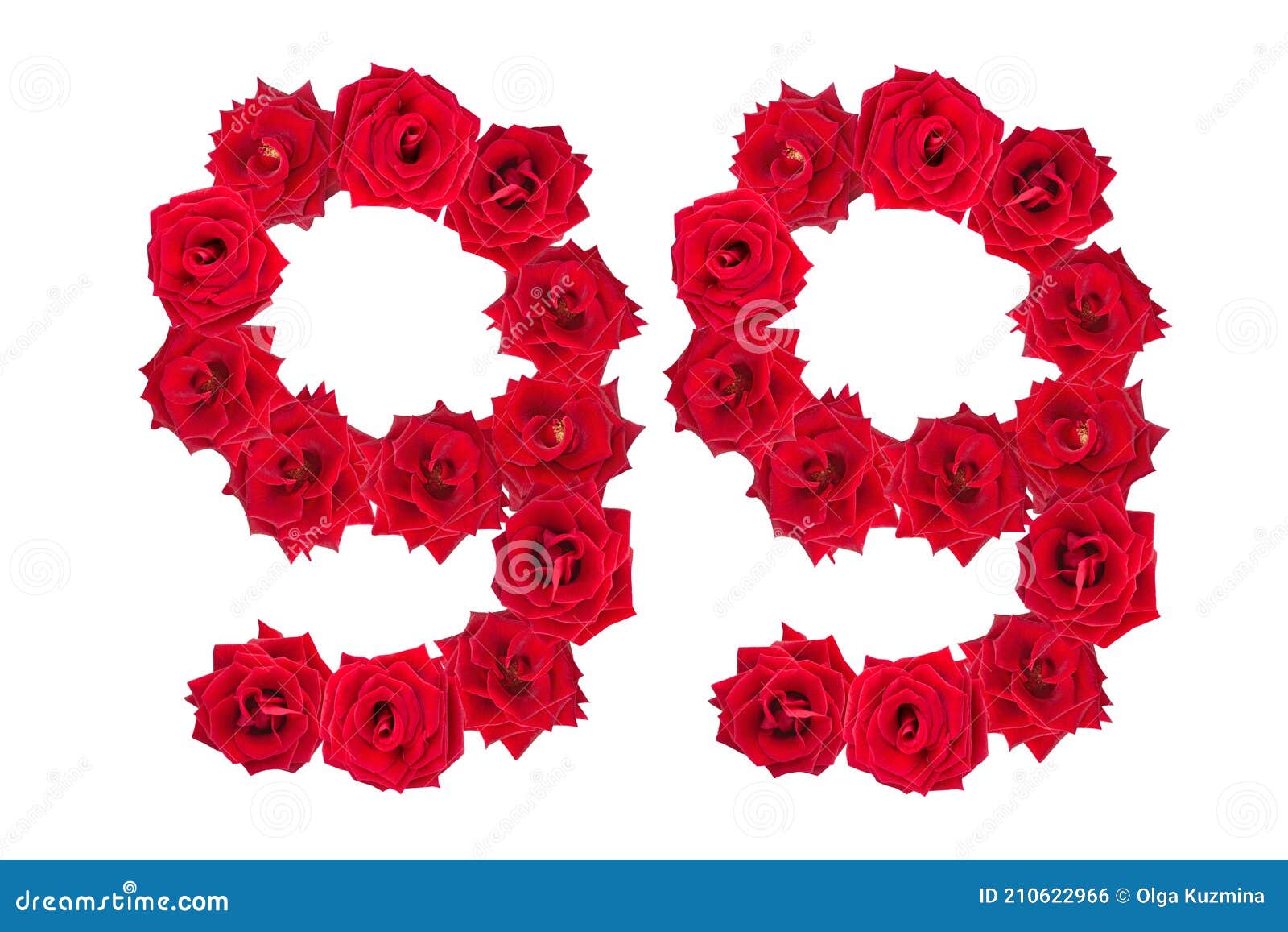 Numeral 99 Made of Red Roses on a White Isolated Background. Element ...