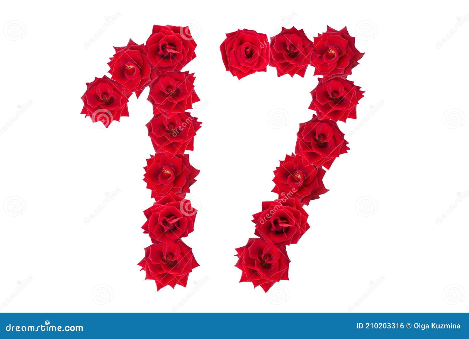 Numeral 17 Made of Red Roses on a White Isolated Background. Element ...