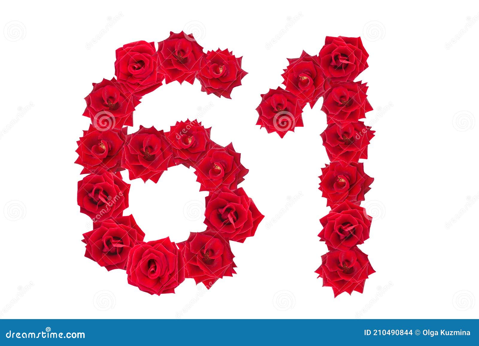 Numeral 61 Made of Red Roses on a White Isolated Background. Element ...
