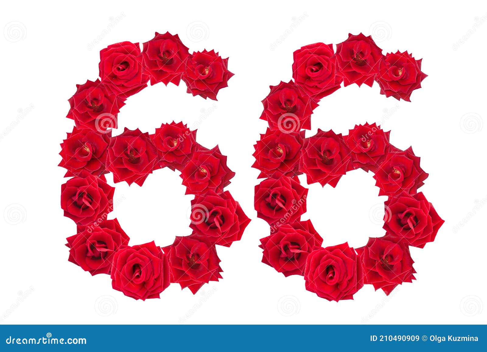 Numeral 66 Made of Red Roses on a White Isolated Background. Element ...
