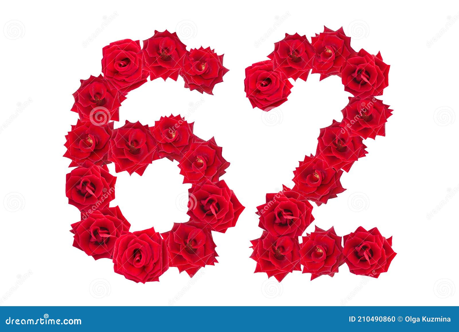 Numeral 62 Made of Red Roses on a White Isolated Background. Element ...