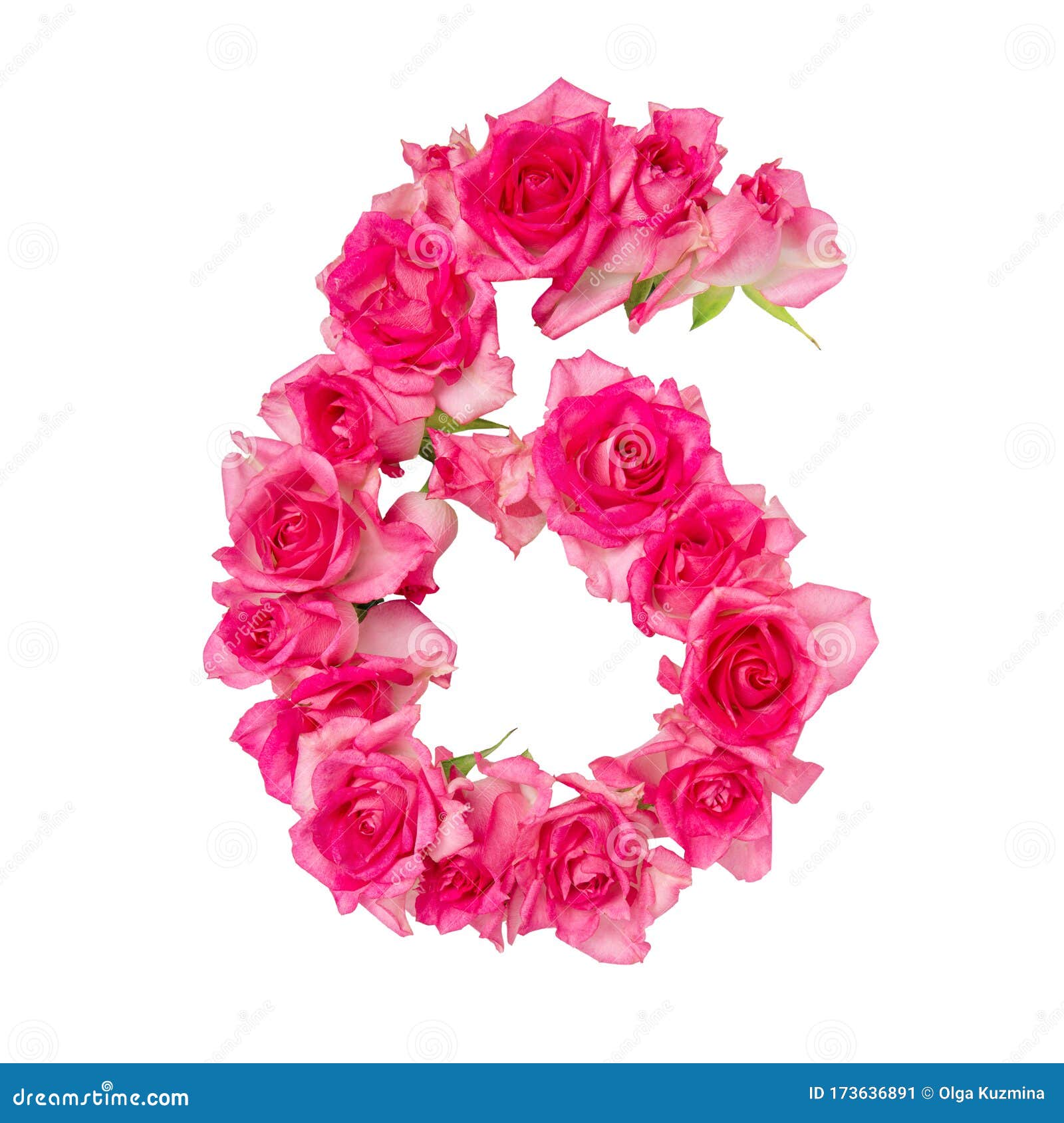 Numeral 6 Made of Roses on a White Isolated Background. Element for ...