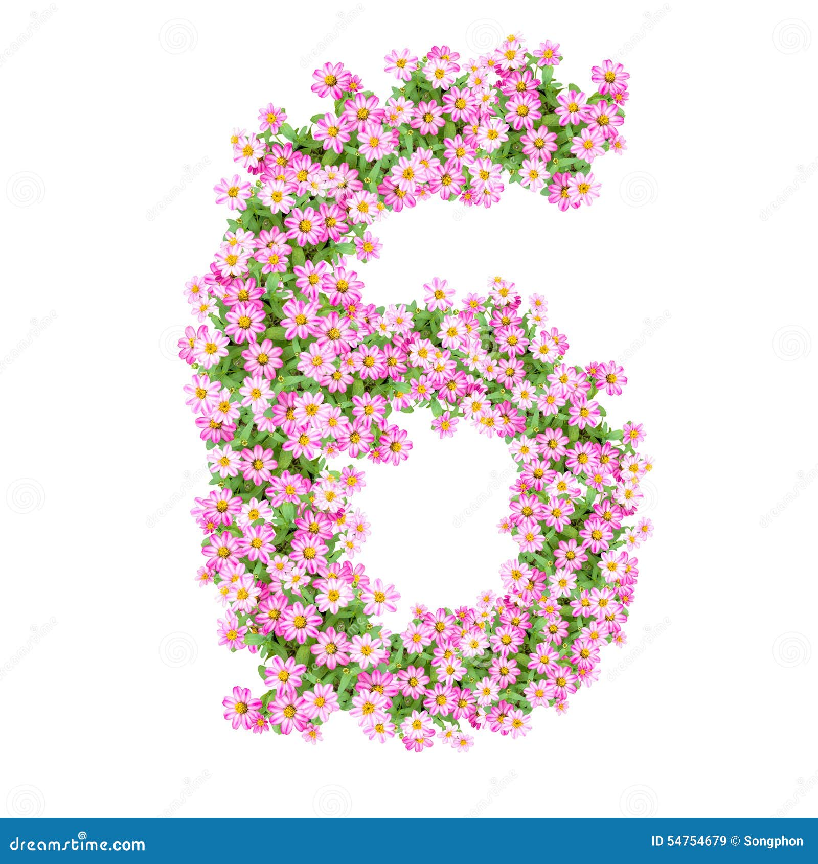 Numeri 6 dei fiori illustrazione di stock. Illustrazione di grafico ...