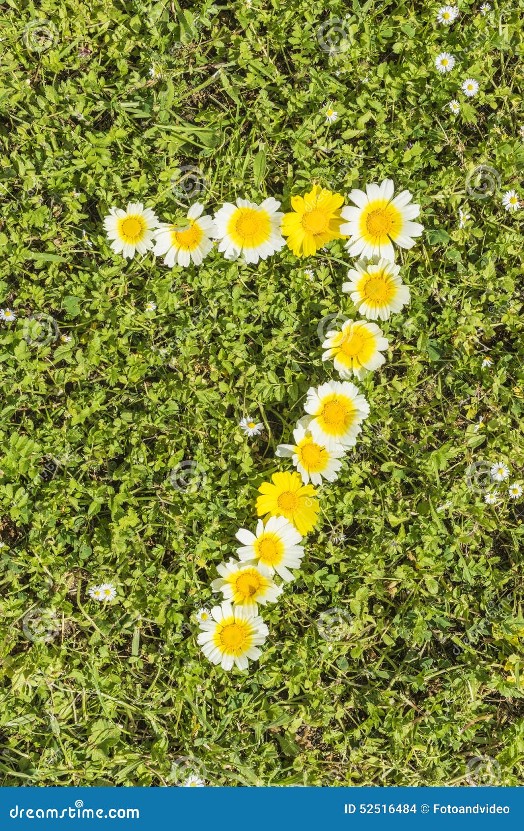 Numero Sette Dai Numeri Del Fiore Fotografia Stock - Immagine di ...