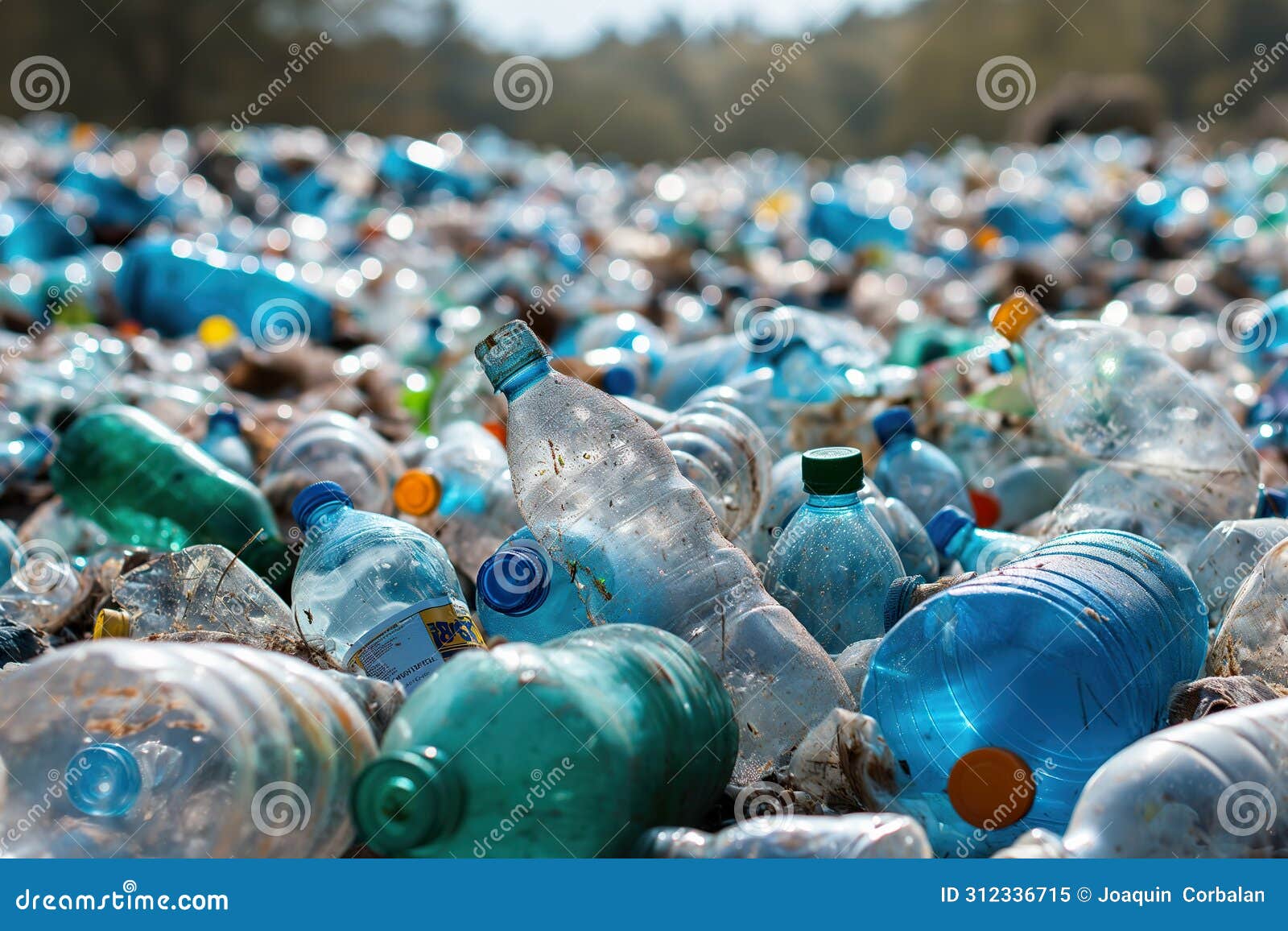 Numerous Plastic Bottles Littering the Ground in a Landfill ...