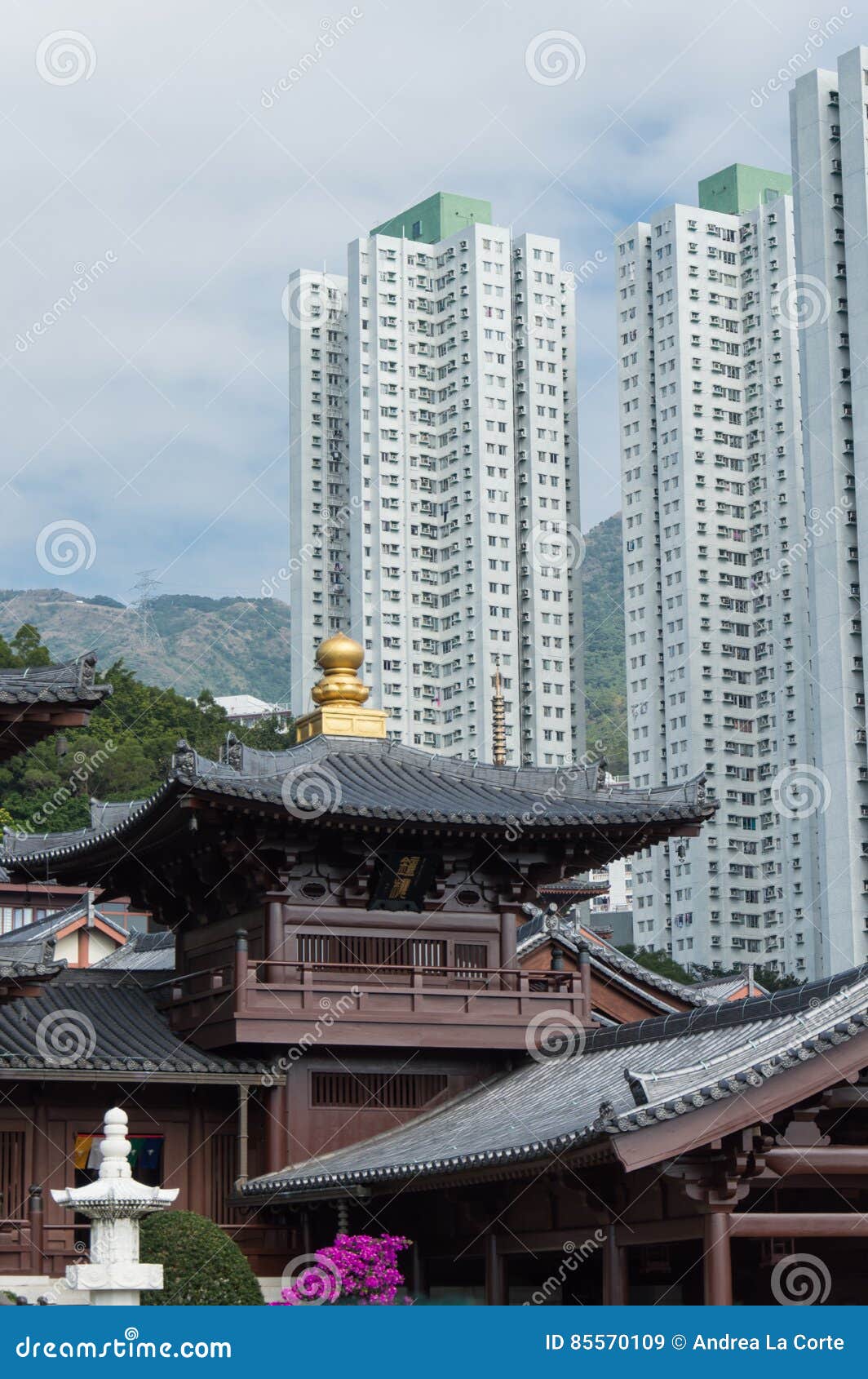 Nunnery Del Lin Di "chi", Hong Kong Immagine Stock - Immagine di corsa ...
