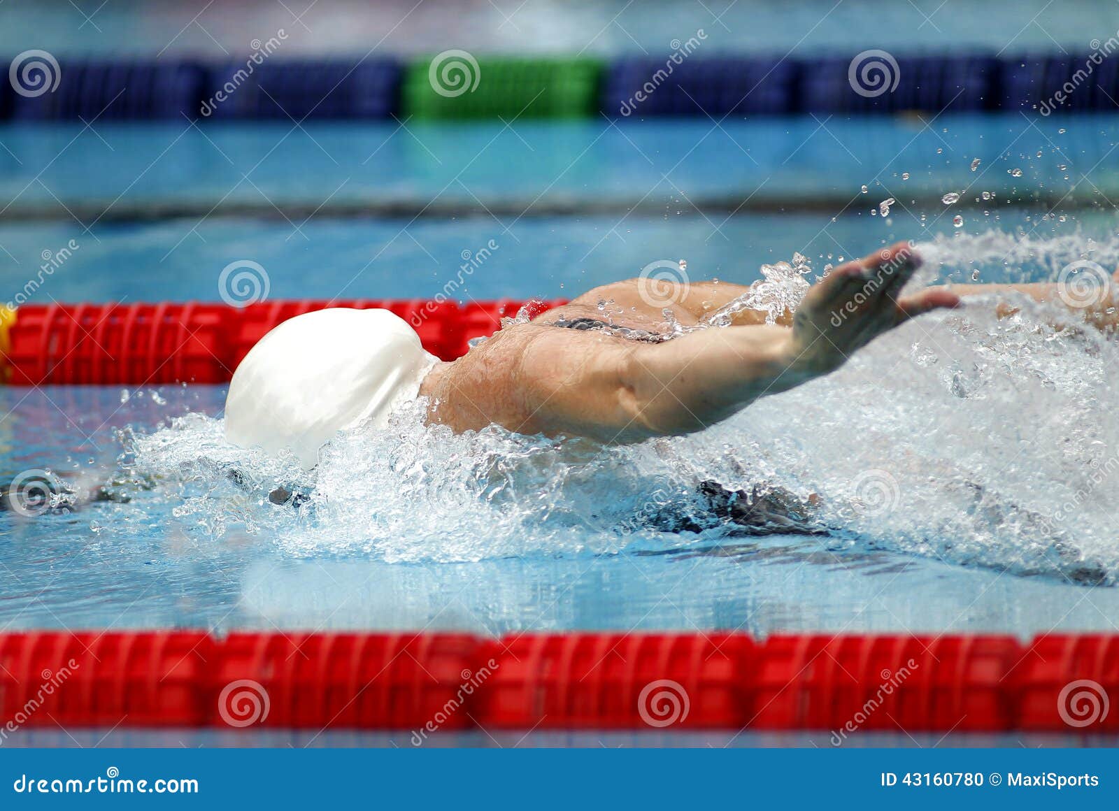 Nuotatore Di Stile Della Farfalla Fotografia Stock - Immagine di ...