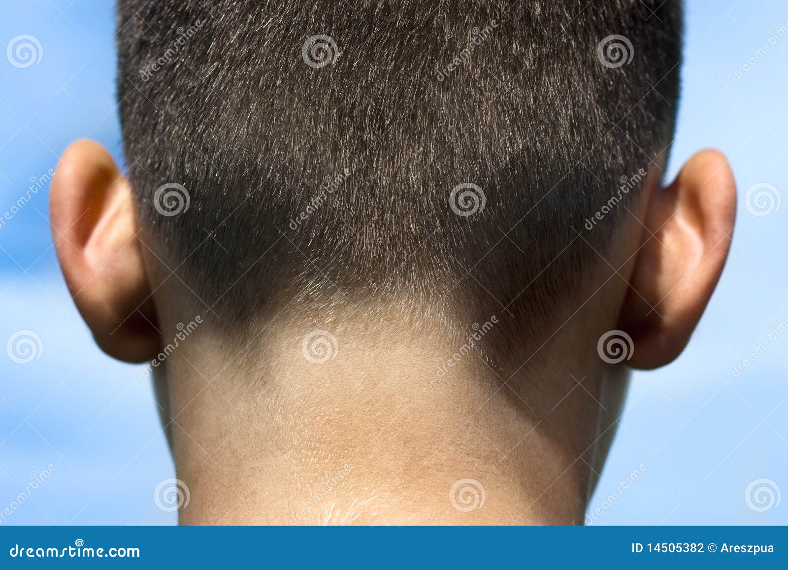 Nuque de garçon photo stock. Image du ciel, préadolescent - 14505382