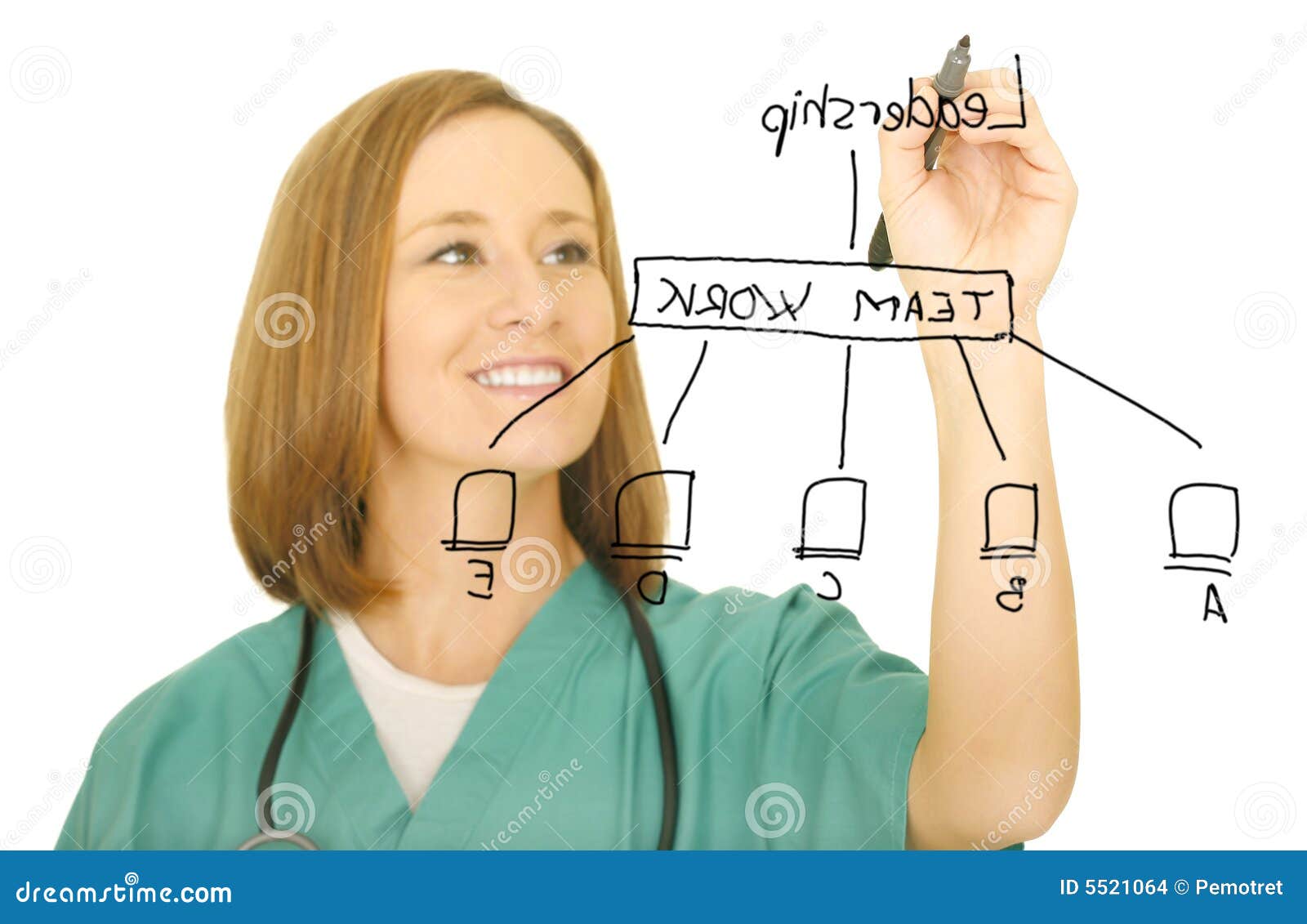 Nurse Drawing Leadership Chart Stock Photo - Image of physician, flow ...