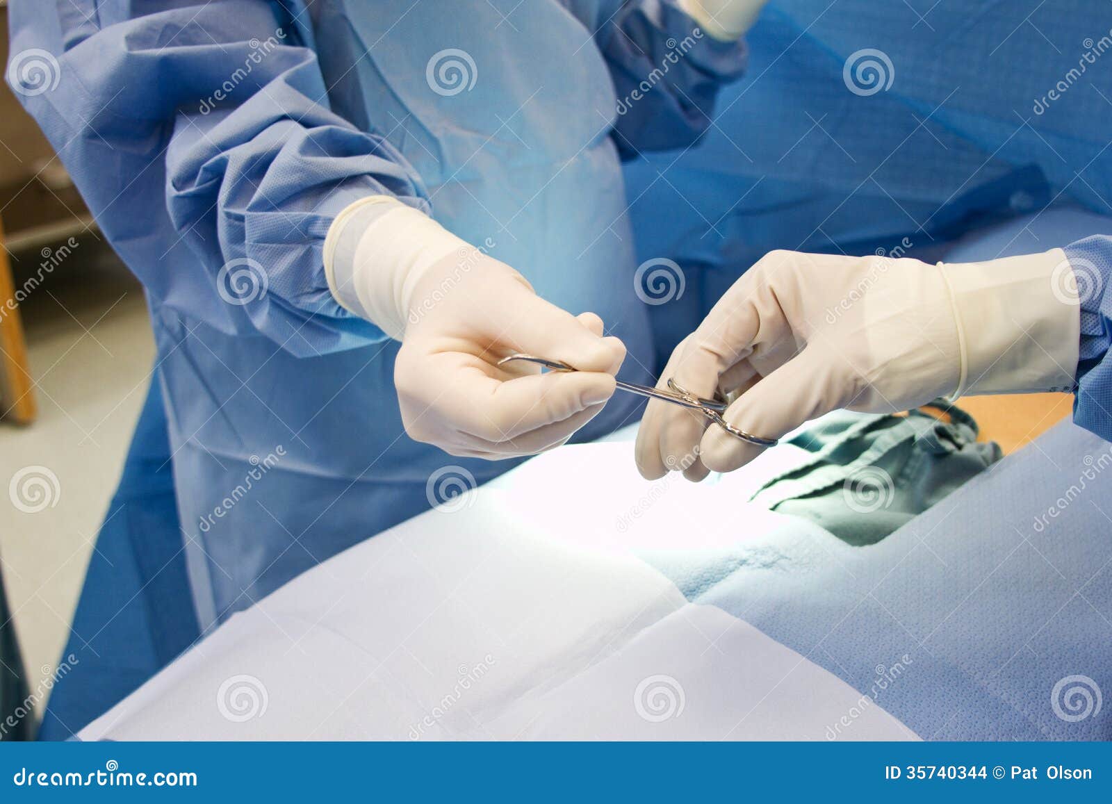 Nurse Giving Physician Instrument Stock Photo - Image of female, health ...