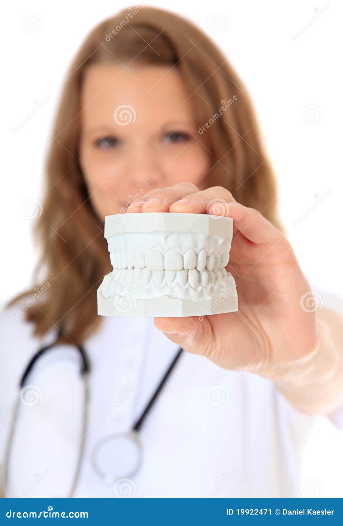 Nurse Holding Plaster Cast of Teeth Stock Image - Image of doctor ...