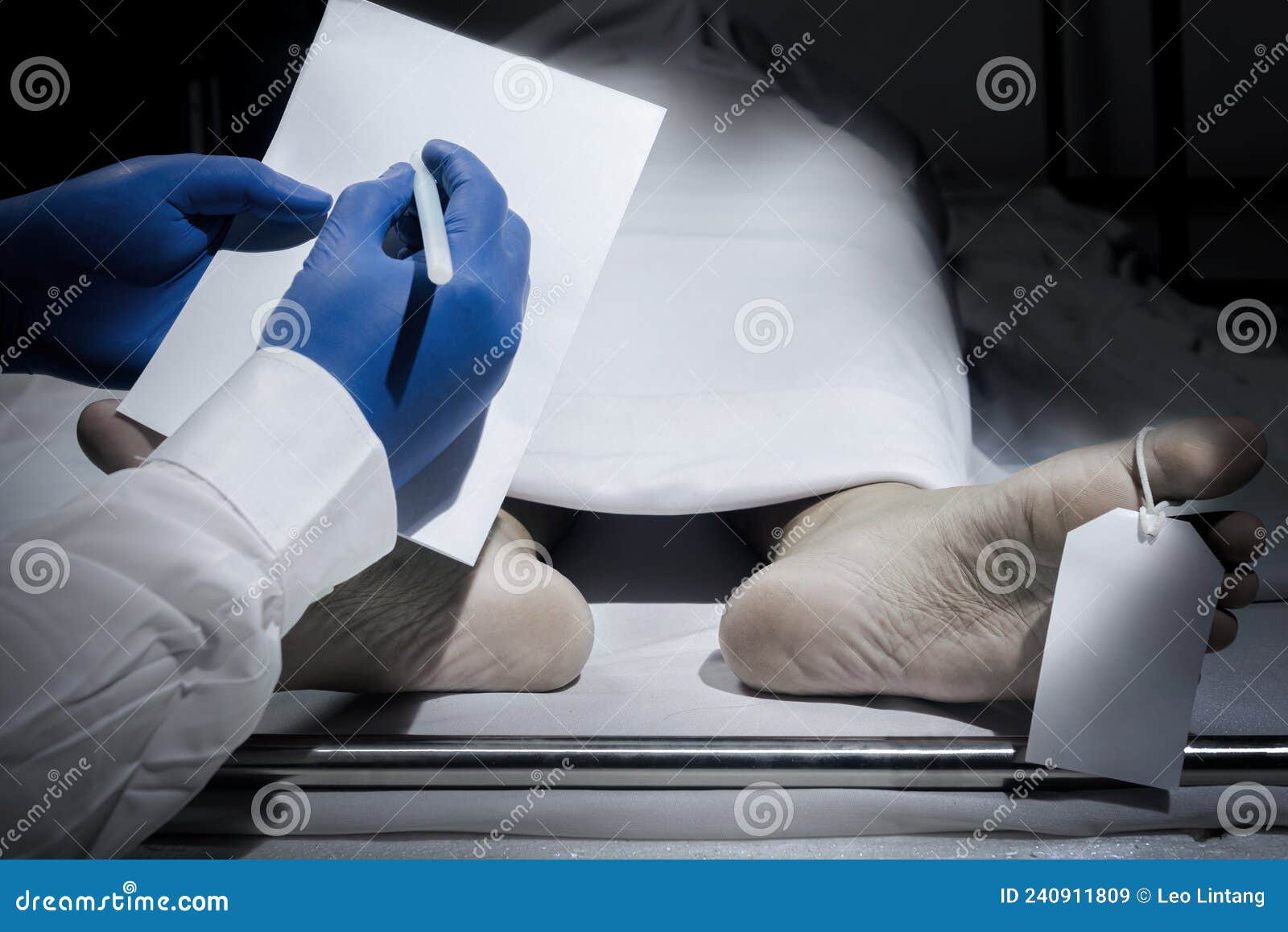 The Nurse Identify the Human Corpse Covered with a Sheet and Name Tag ...