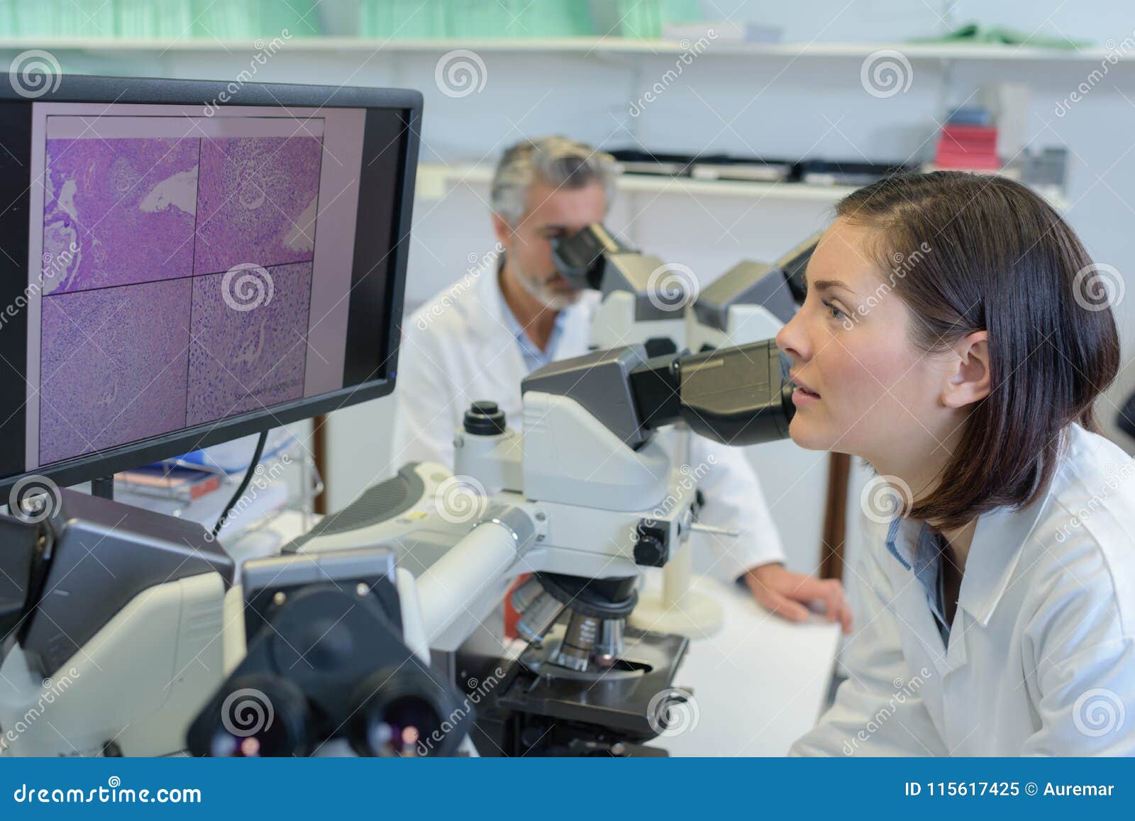 Nurse Looking at Computer Screen Stock Image - Image of patient ...