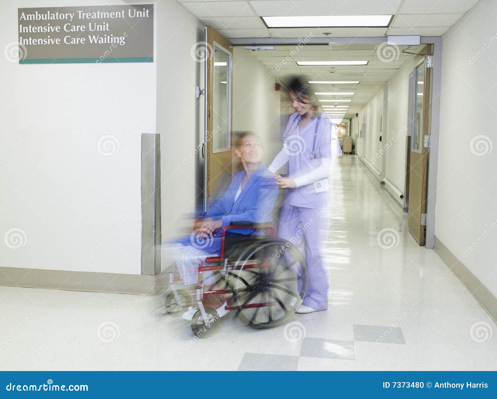 Nurse Wheeling Patient stock photo. Image of race, length - 7373480