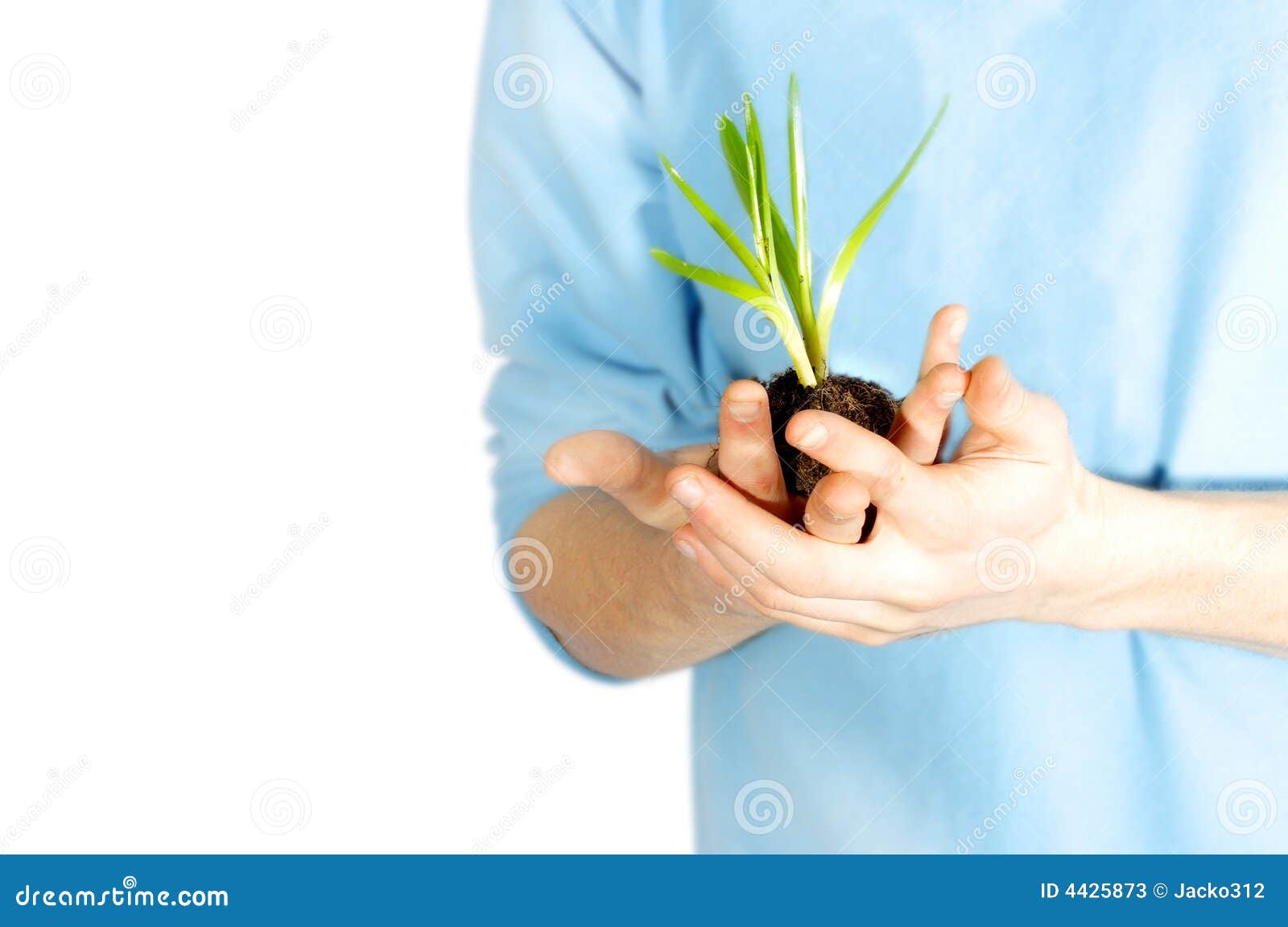 Nurtured Plant Held Carefully Stock Image - Image of plant, idea: 4425873