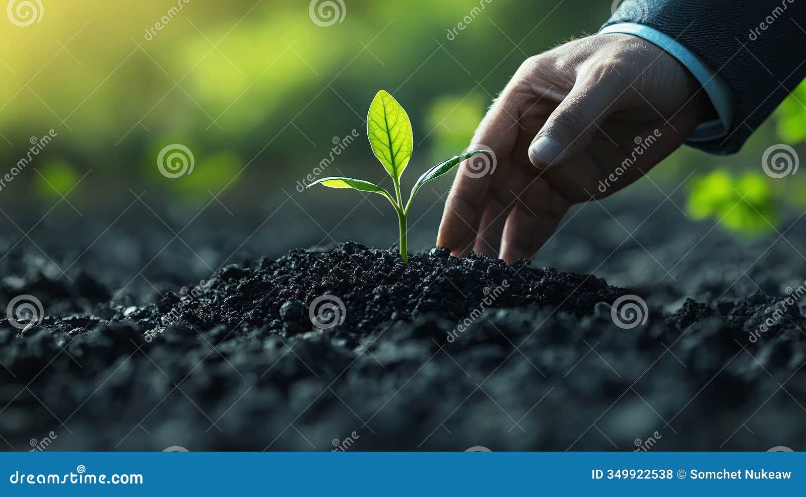 Nurturing Growth How To Cultivate a Resilient Business Mindset through ...