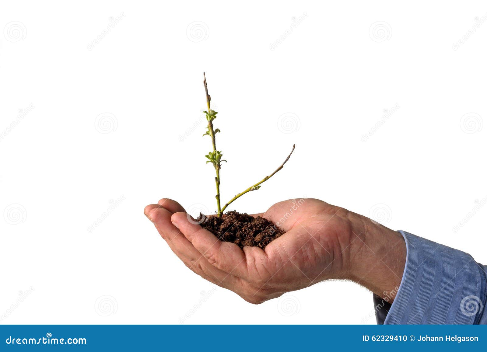 Nurturing growth stock photo. Image of nurture, care - 62329410