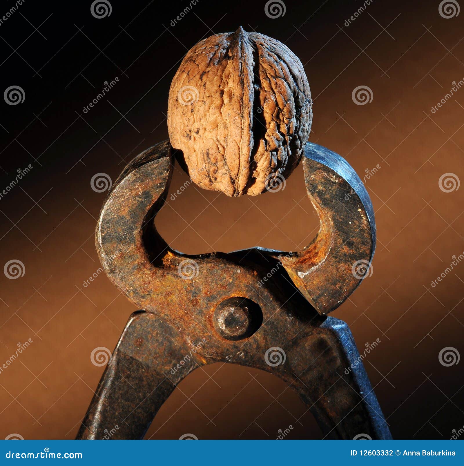 Cheat Walnut Stock Photos - Free & Royalty-Free Stock Photos from ...