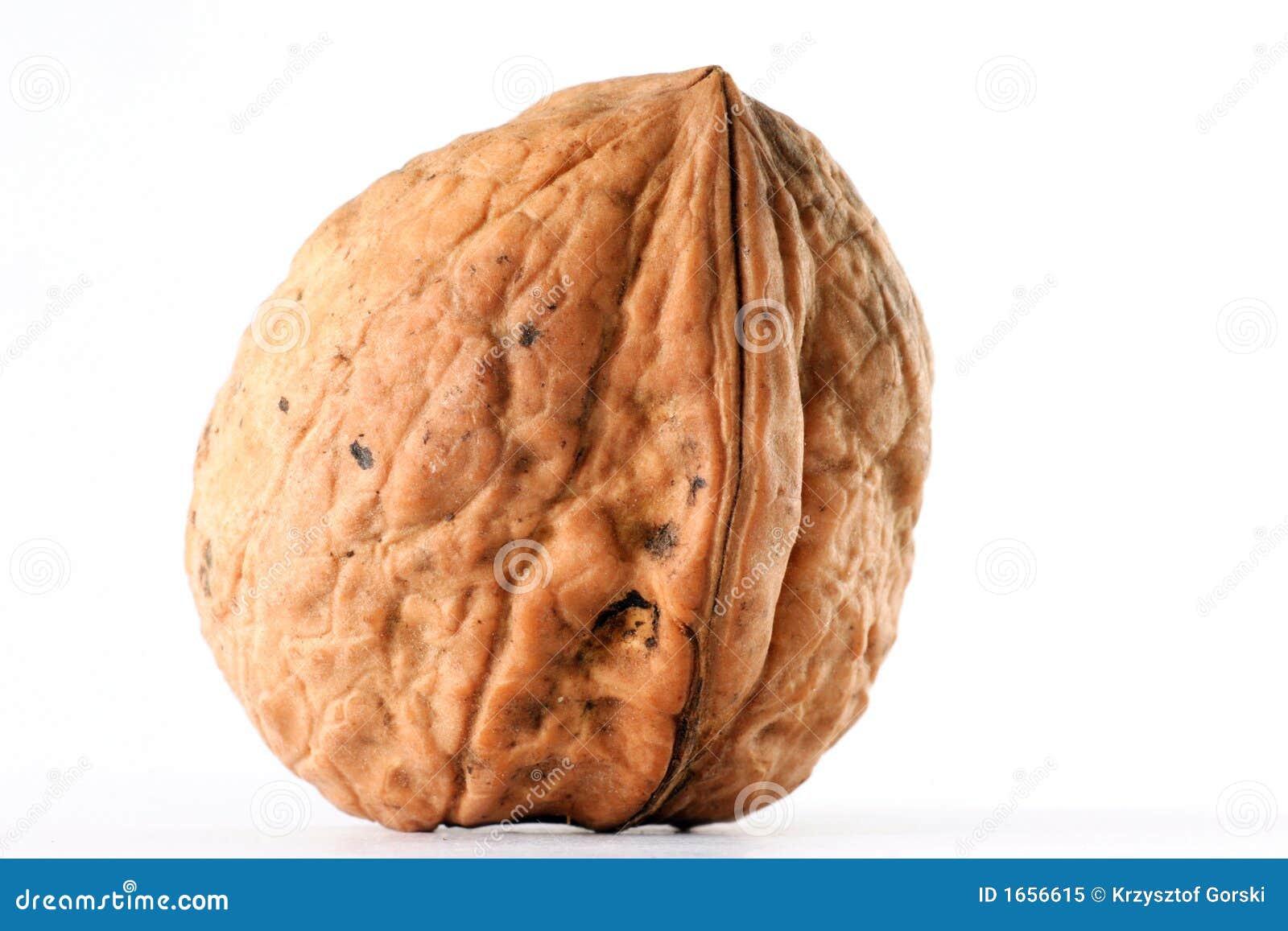 Nut stock image. Image of healthy, cracked, macro, culinary - 1656615