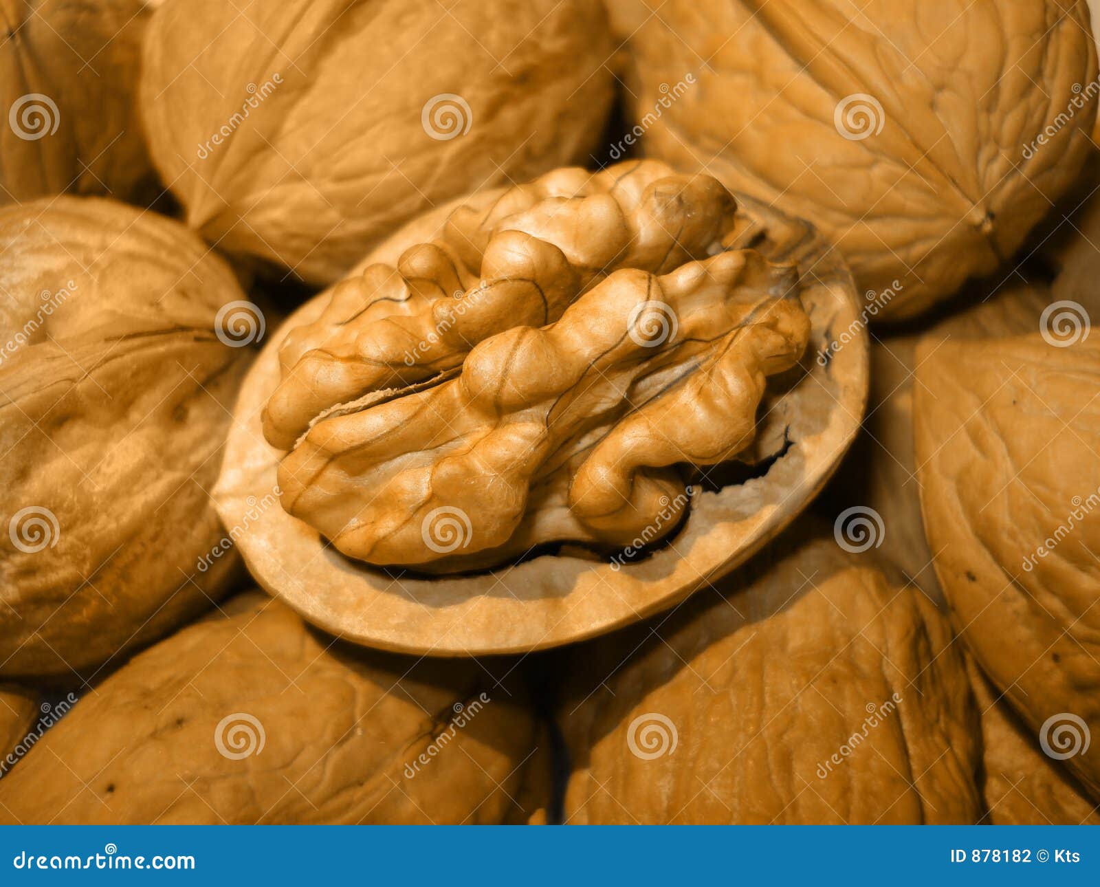 Nut stock photo. Image of close, taste, food, natural, chestnut - 878182