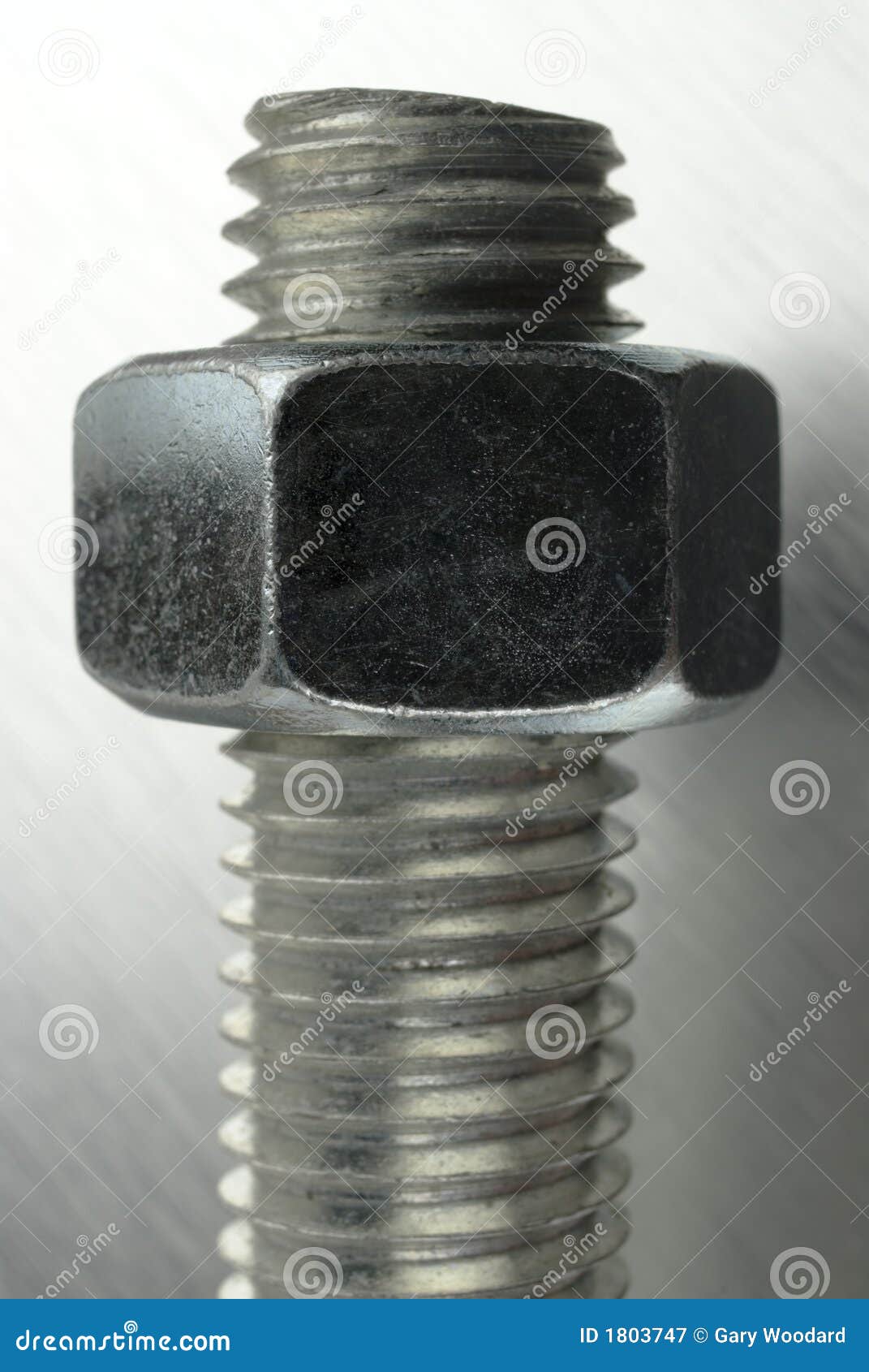 Nut And Bolt. Picture Image: 1803747
