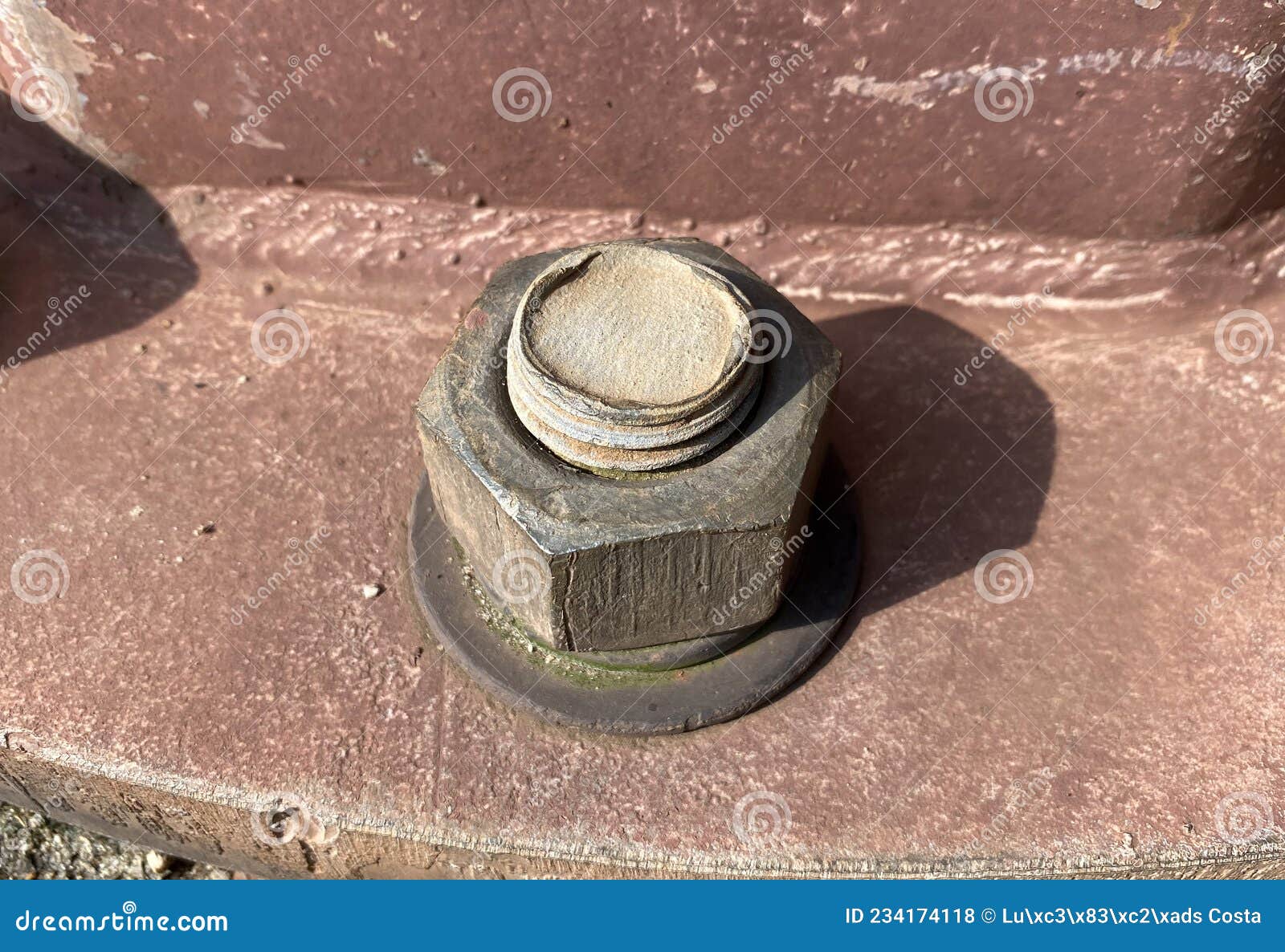 Nut and Bolt closeup stock photo. Image of plate, gray - 234174118