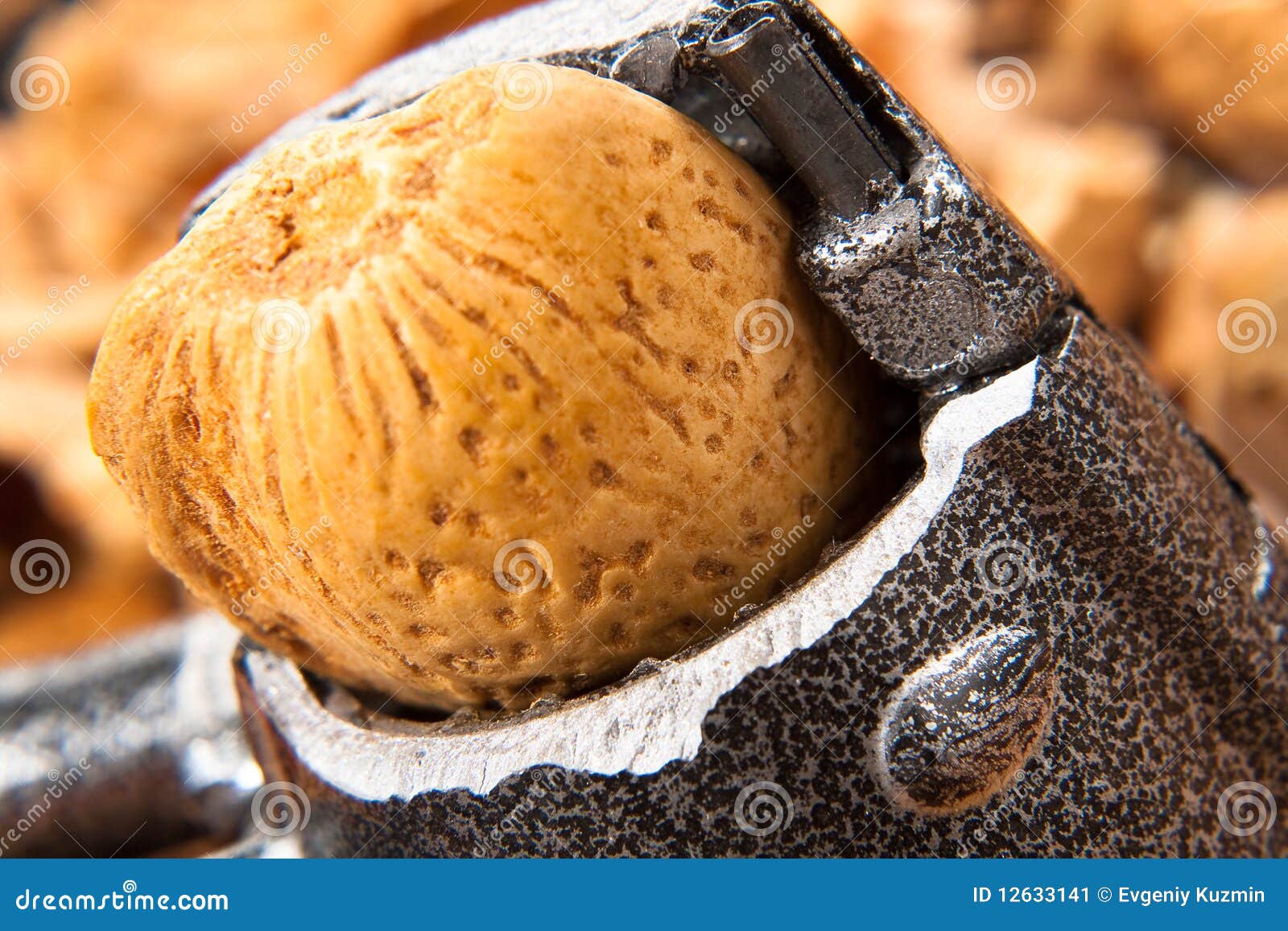 Nut Close up stock image. Image of grab, hardware, cracked - 12633141