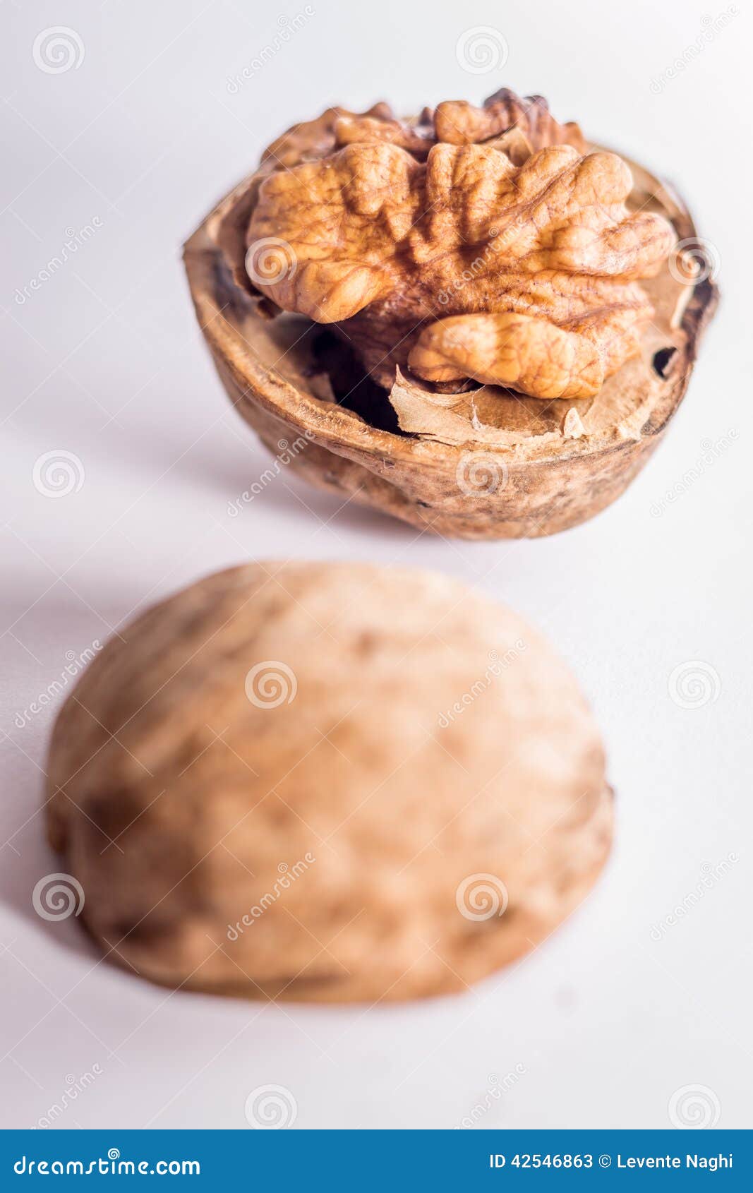 Nut stock image. Image of nutmeat, delicious, macro, autumn - 42546863