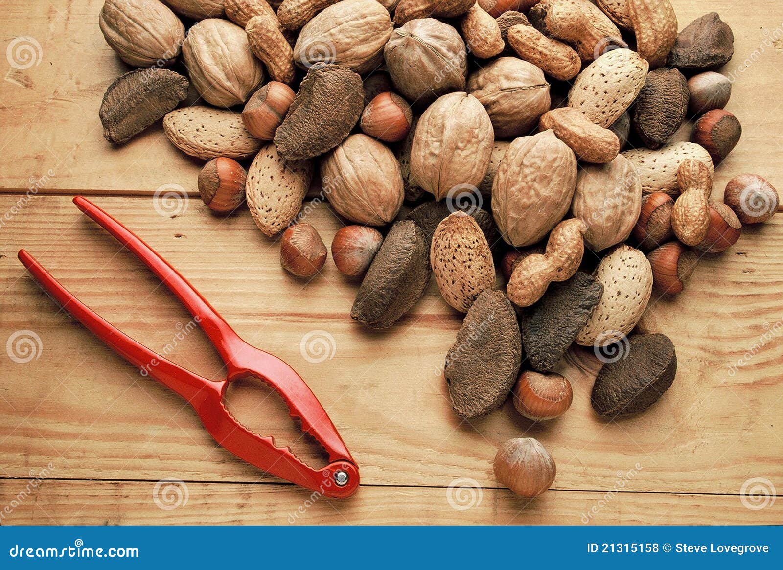 Nut Cracker stock photo. Image of brazil, fruit, shell - 21315158