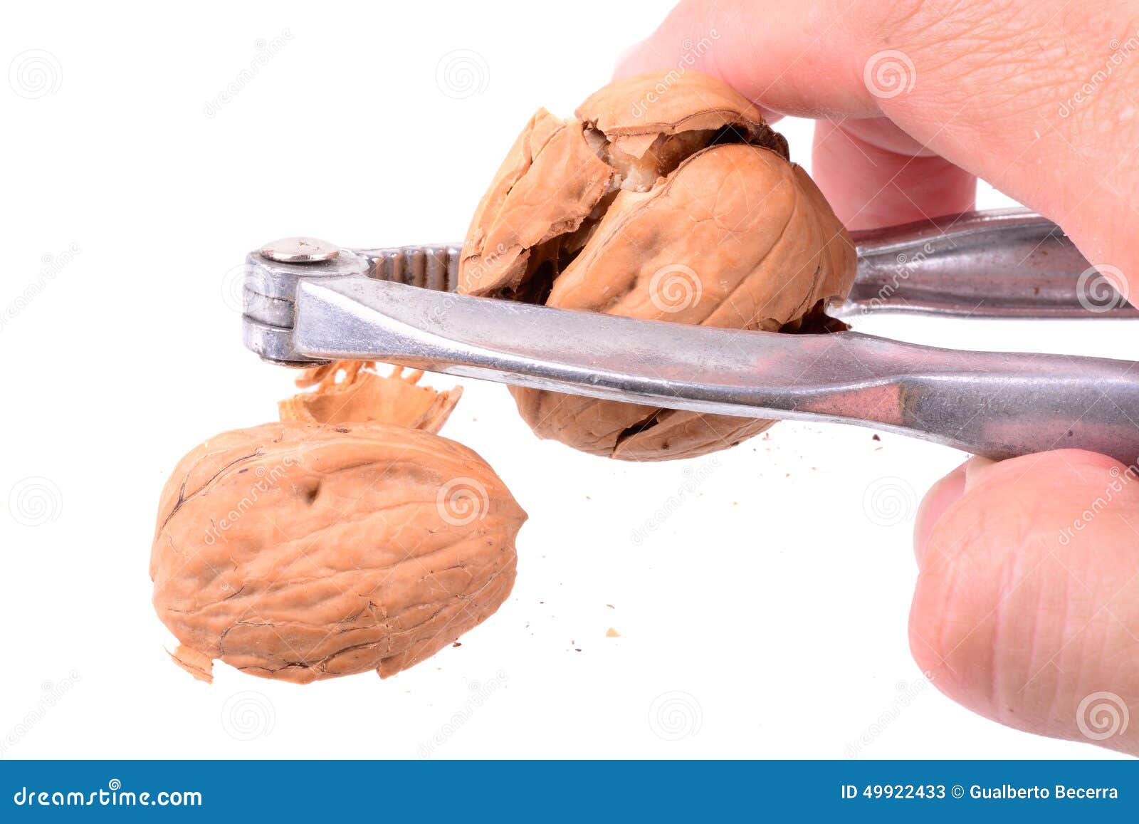 Nut Cracker stock image. Image of common, brown, grocery - 49922433