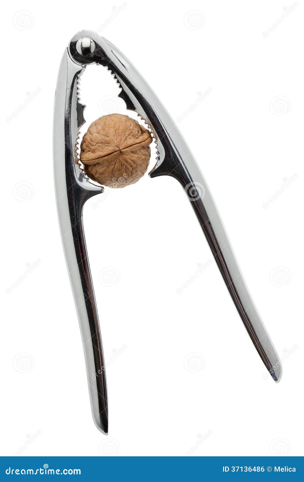 Nut Cracker stock photo. Image of ingredient, equipment - 37136486