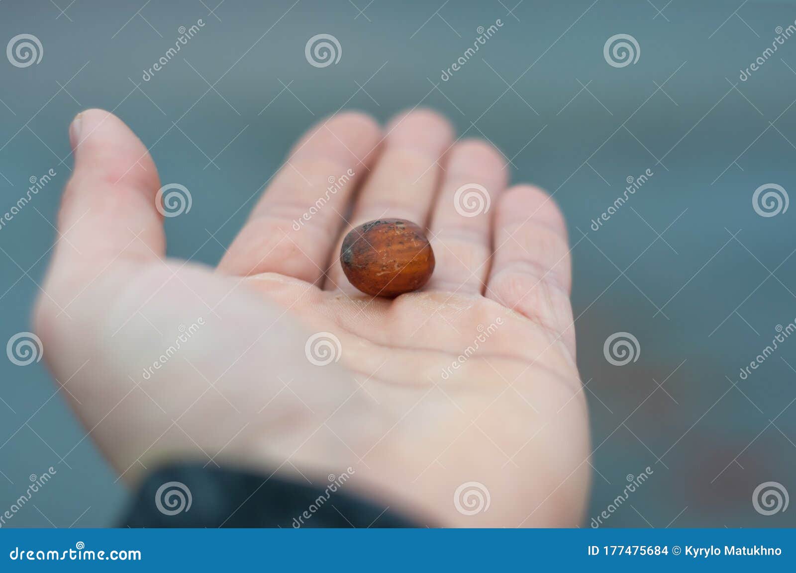 A Nut on the Hand. Concept Idea in a Hand Stock Photo - Image of ...