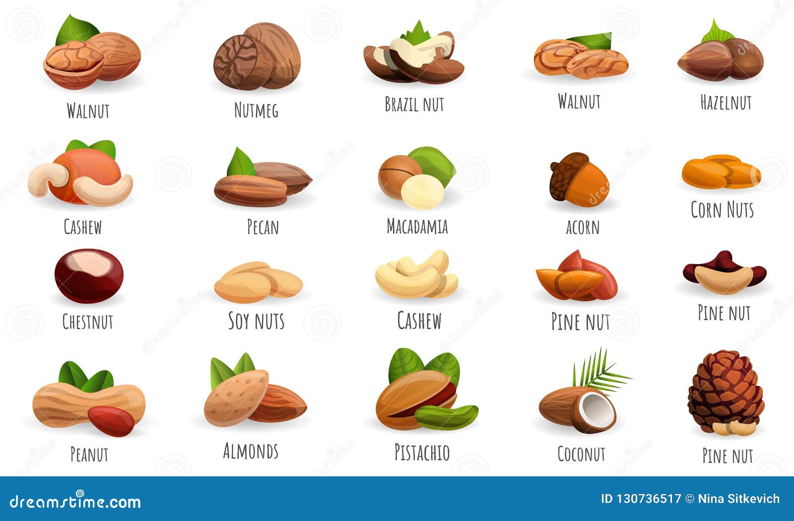 Nut Icon Set, Cartoon Style Stock Vector - Illustration of coconut ...