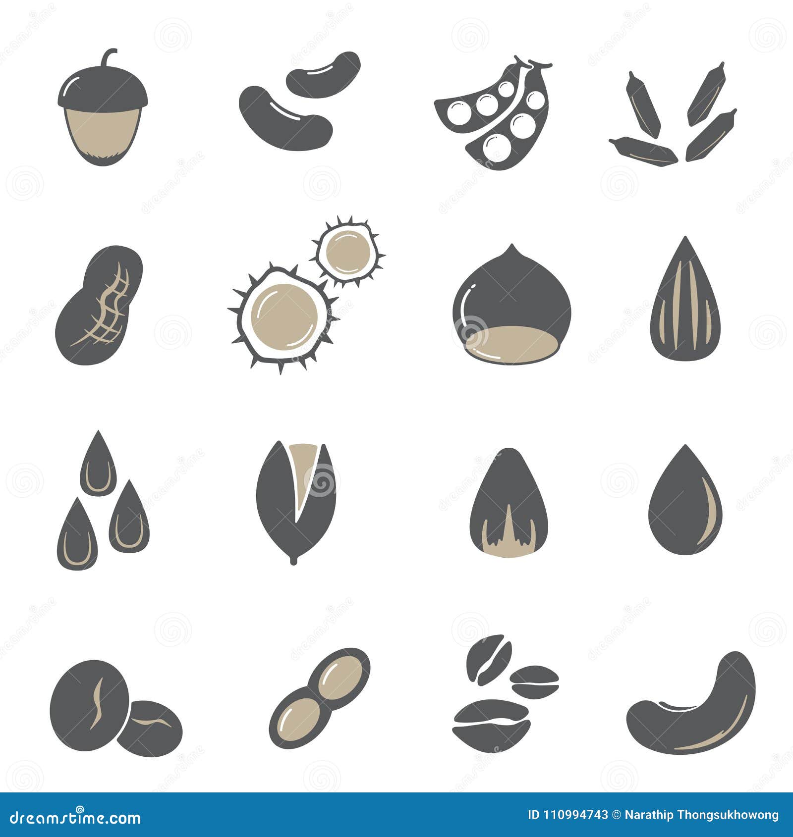 Nut icon set stock vector. Illustration of growth, cocoa - 110994743