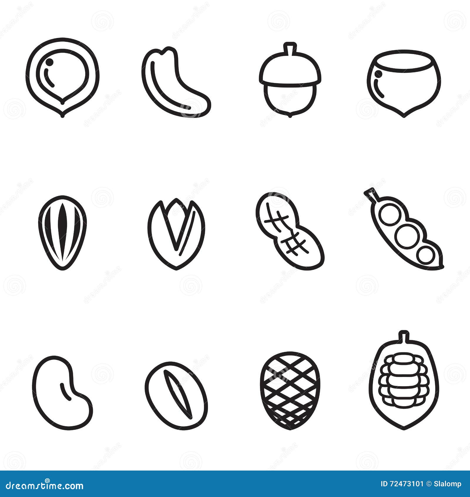 Nut icon Set stock vector. Illustration of isolated, pecan - 72473101