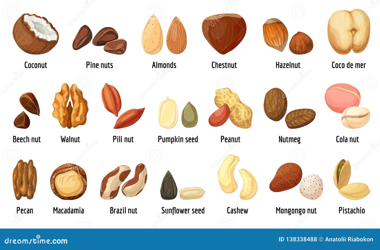 Nut Icons Set, Cartoon Style Stock Vector - Illustration of harvest ...