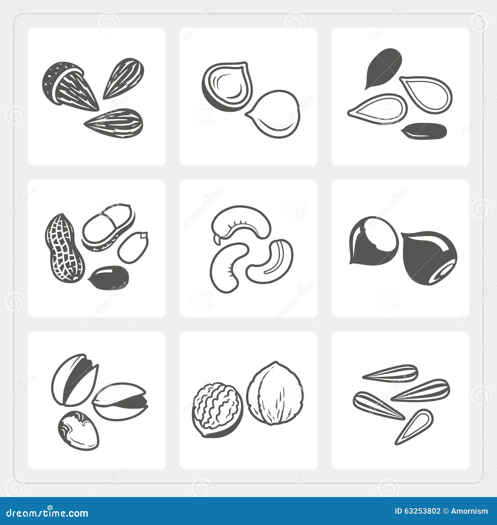Nut icons set stock vector. Illustration of concept, emblem - 63253802