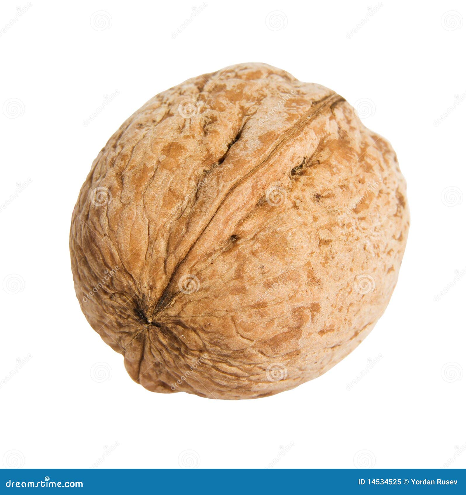 Nut isolated stock image. Image of food, shell, snack - 14534525