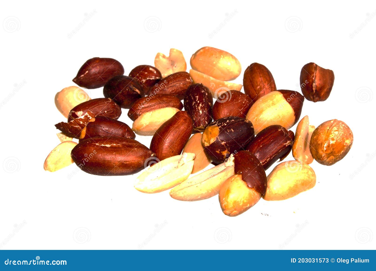 Nut Isolated on White Background Stock Image - Image of healthy, diet ...