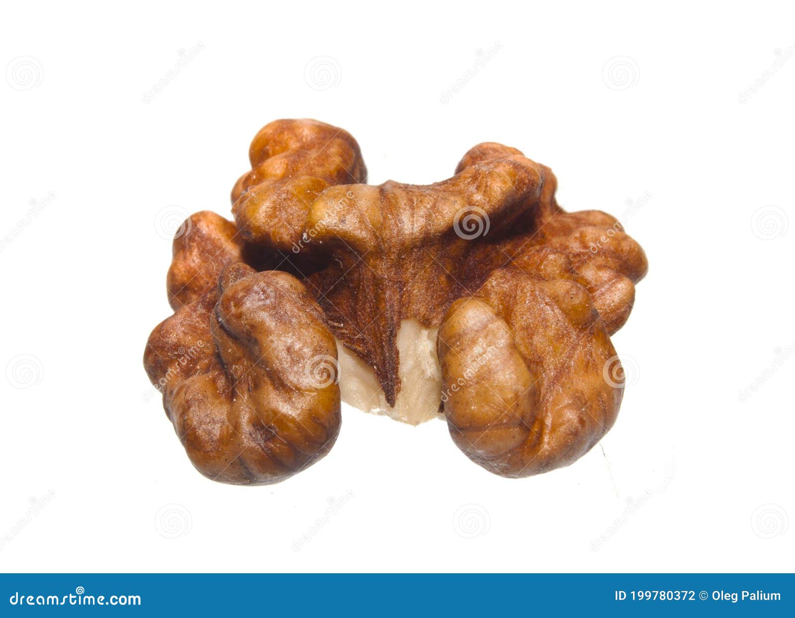 Nut Isolated on White Background Stock Photo - Image of mature, healthy ...