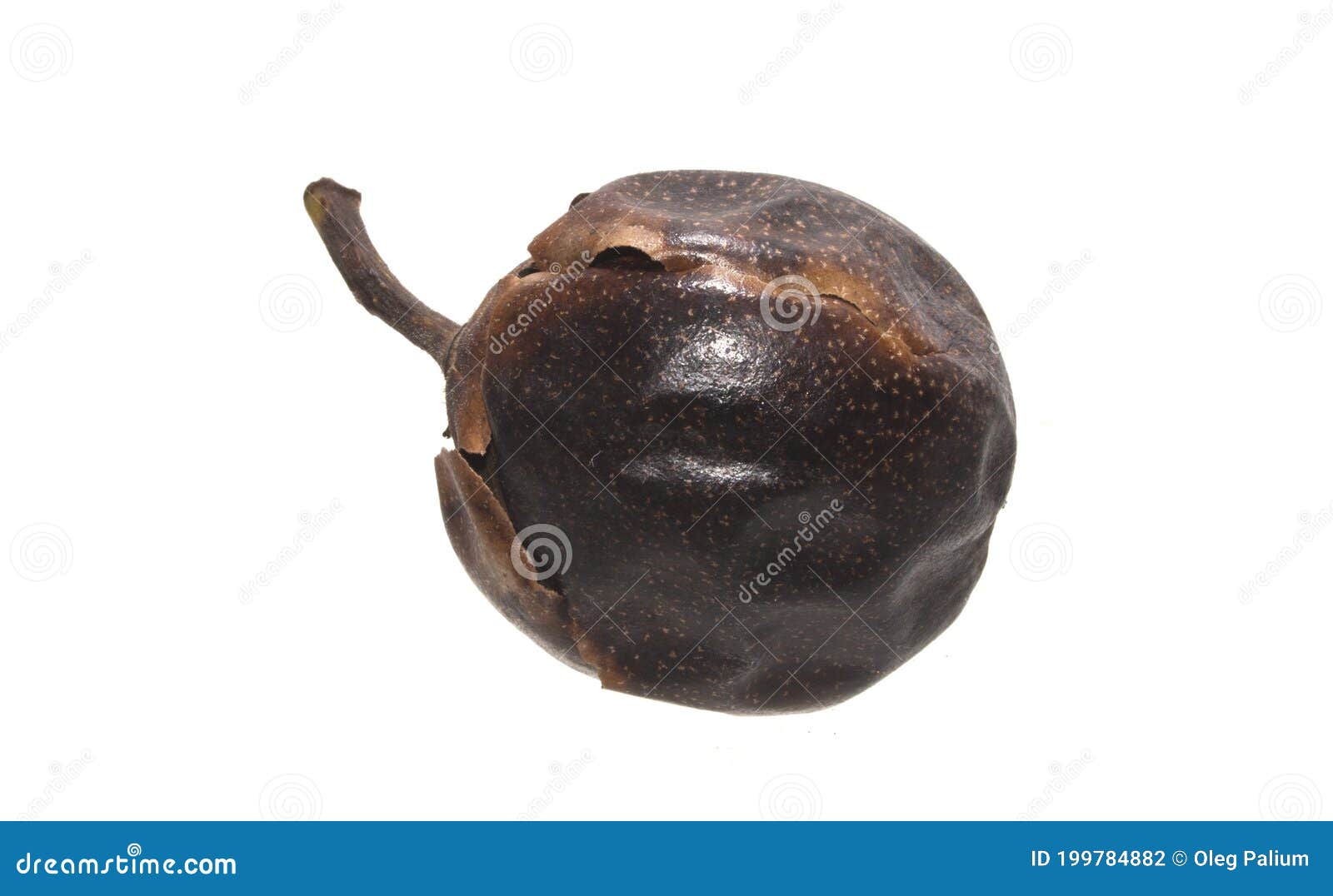 Nut Isolated on White Background Stock Photo - Image of almond, fruit ...