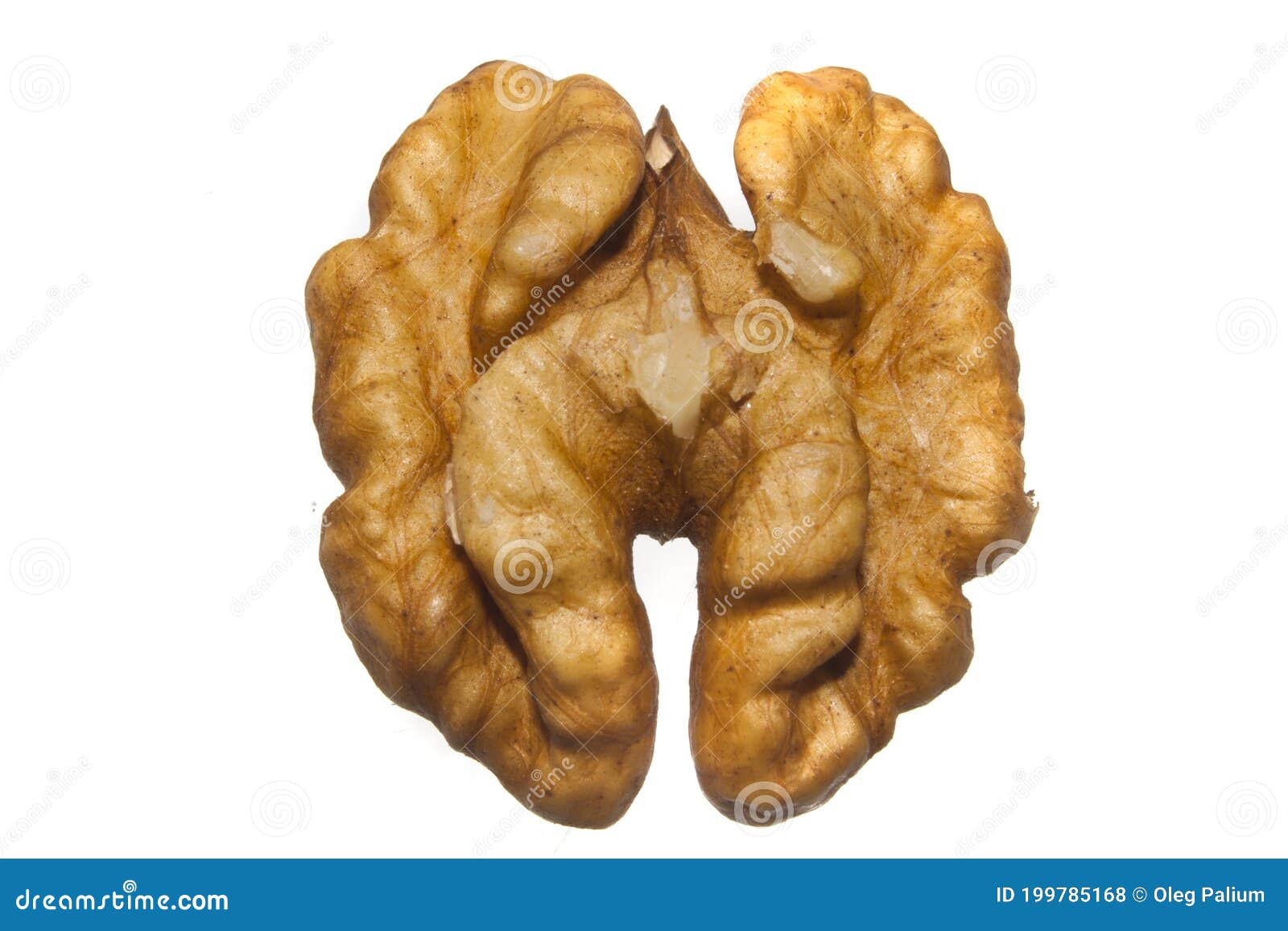 Nut Isolated on White Background Stock Photo - Image of pieces ...