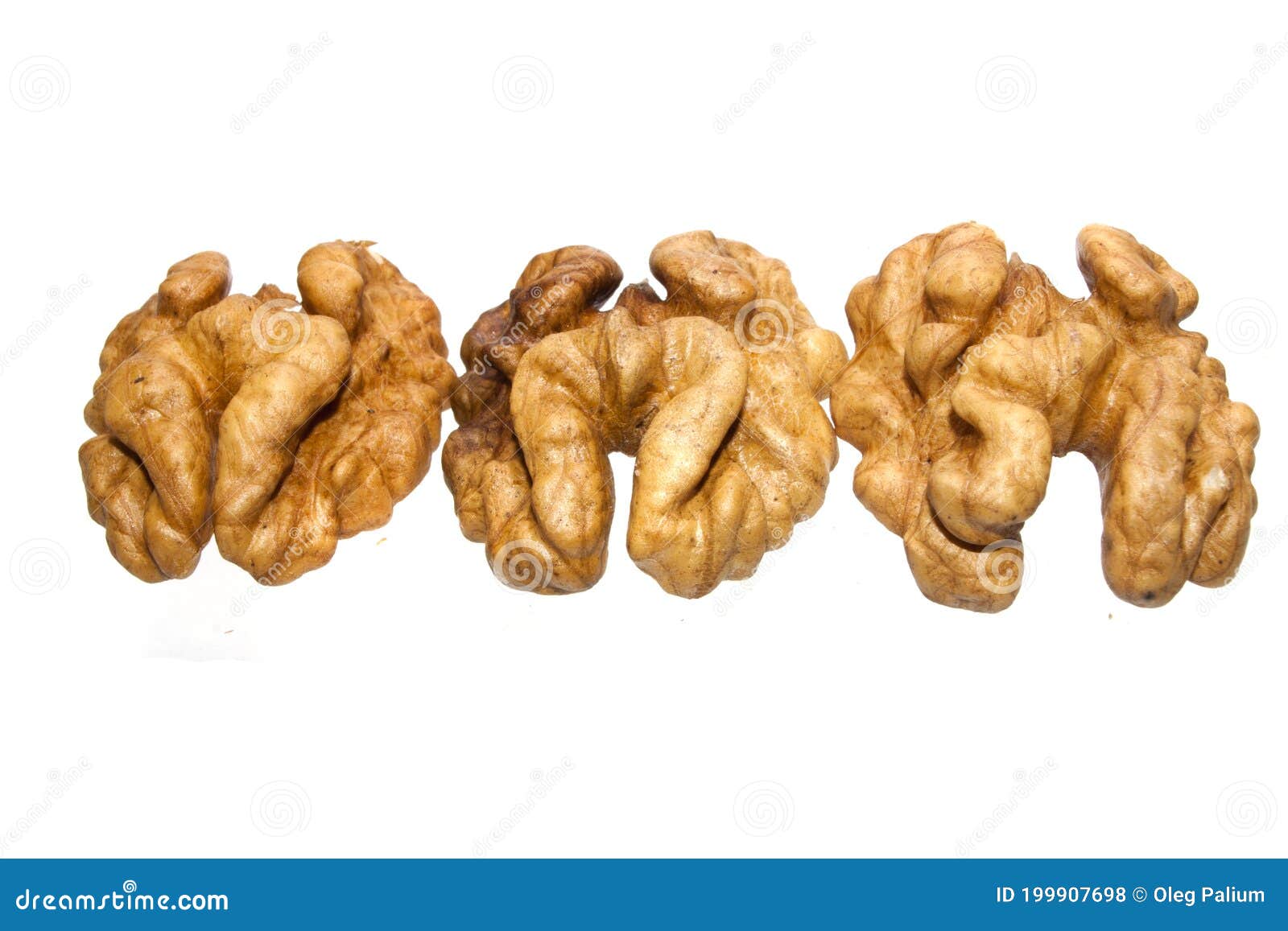 Nut Isolated on White Background Stock Photo - Image of background ...